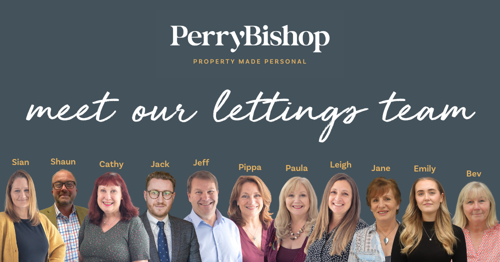 Meet our Lettings Team: Supporting Landlords & Tenants alike - Perry ...